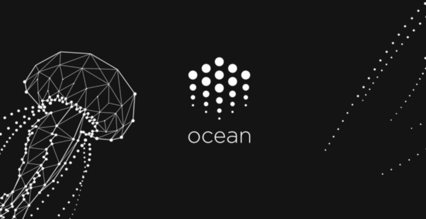 ما هي العملة الرقمية Ocean Protocol (OCEAN)مشروعها و معلومات عنها