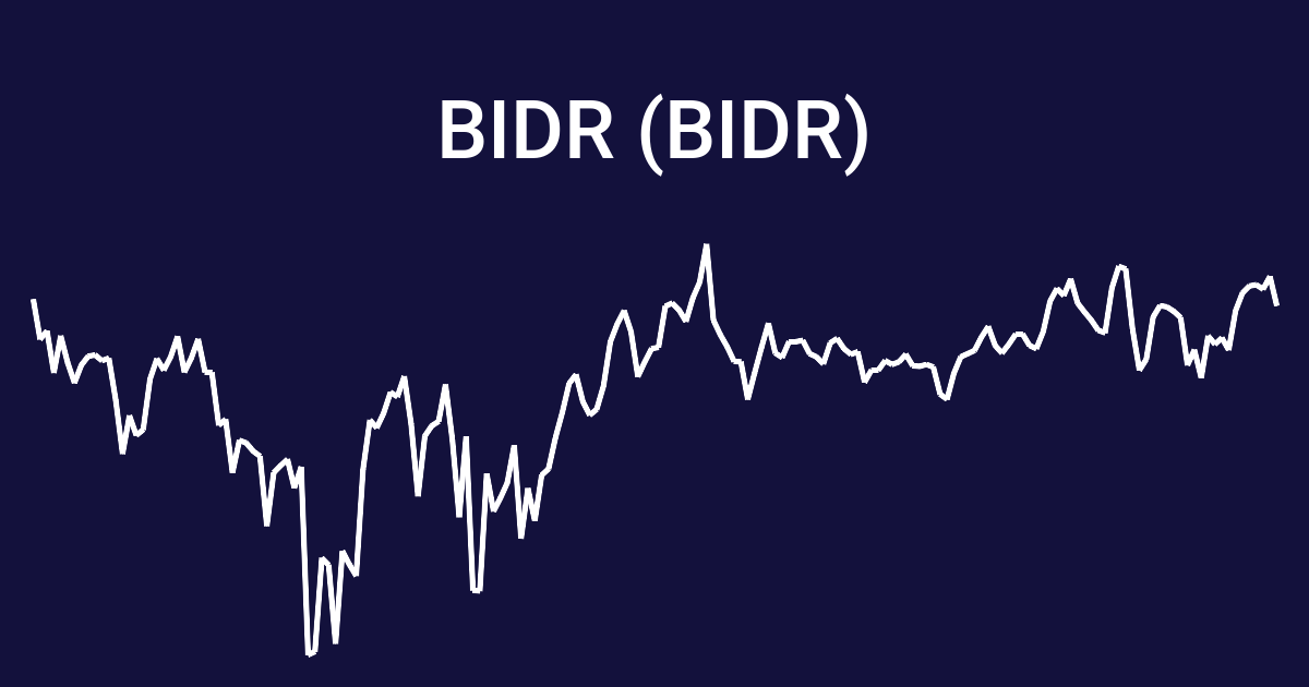 ما هي العملة الرقمية BIDR/BIDR مشروعها و معلومات عنها