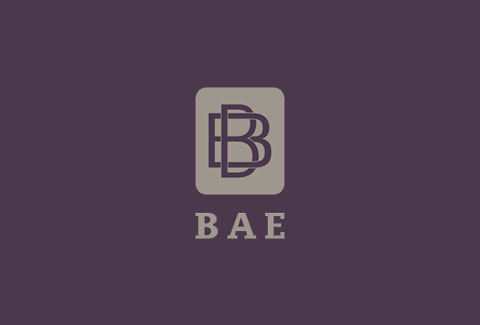 ما هي العملة الرقمية Bae /Bae مشروعها و معلومات عنها
