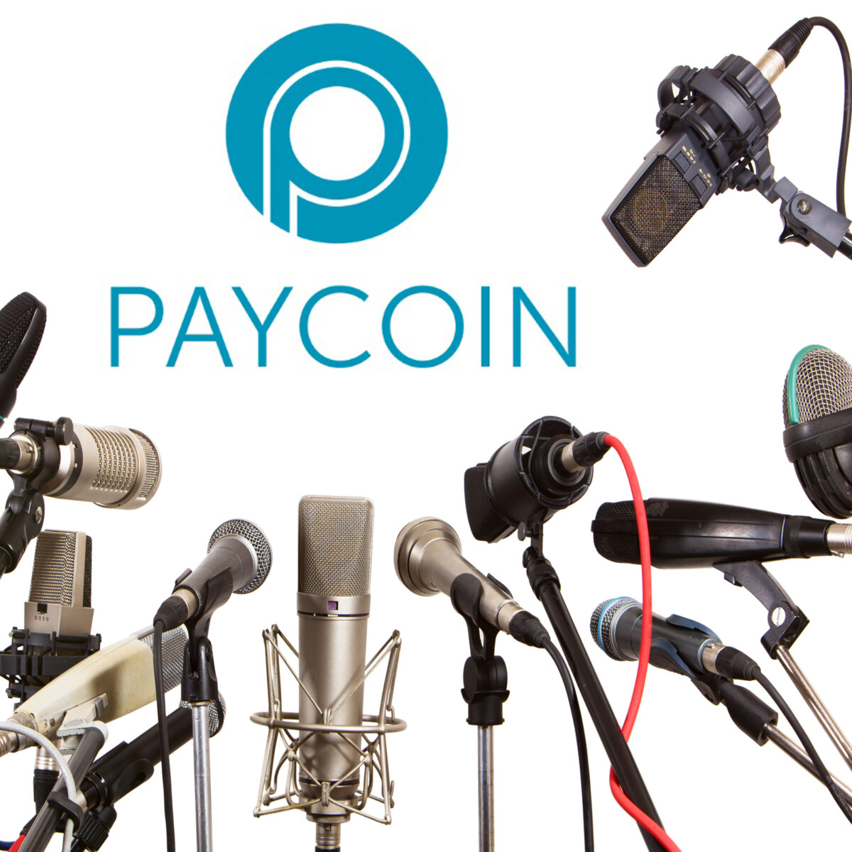ما هي العملة الرقمية PCI /Paycoin مشروعها و معلومات عنها