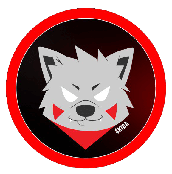 ما هي العملة الرقمية Kiba /Kiba Inu مشروعها و معلومات عنها