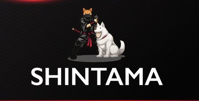 ما هي العملة الرقمية SHINTAMA /Shintama مشروعها و معلومات عنها