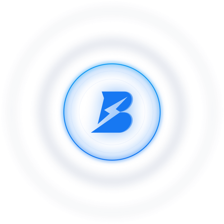 معلومات عن العمله الرقميه PAY / PayBolt