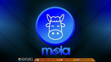 معلومات عن العمله الرقميه MOO / Moola Market