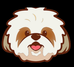 معلومات عن العمله الرقميه SHIH-TZU / Shih Tzu Inu