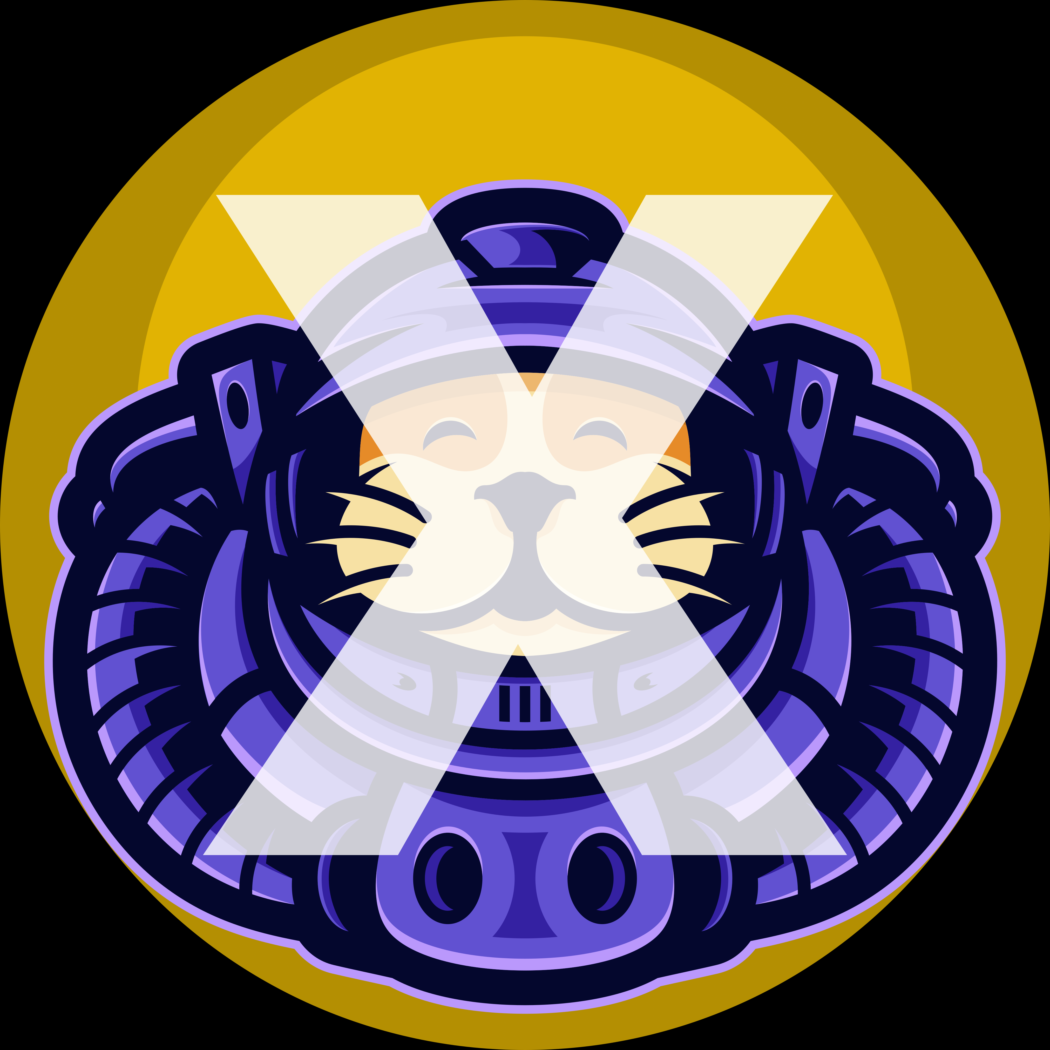 معلومات عن العمله الرقميه XLON / Xenlon Mars