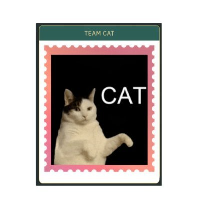 معلومات عن العمله الرقميه TCAT / Team Cat