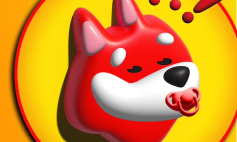 معلومات عن العمله الرقميه Baby Bonk